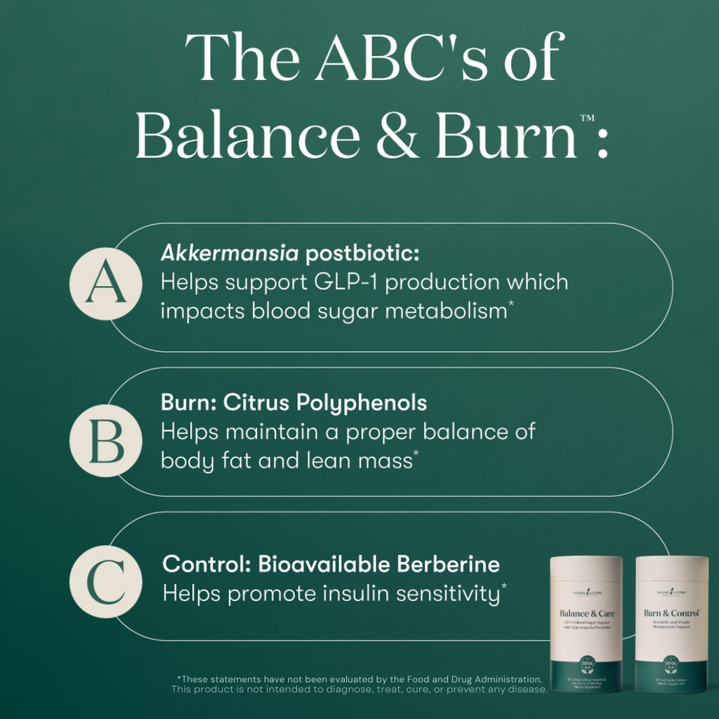 Young Living Balance & Burn™ System – Essential Oil Life
