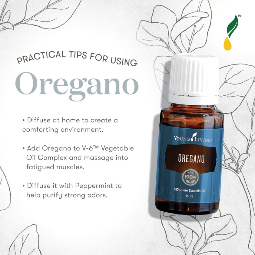 Young Living Oregano Essential Oil - 15ml – Essential Oil Life