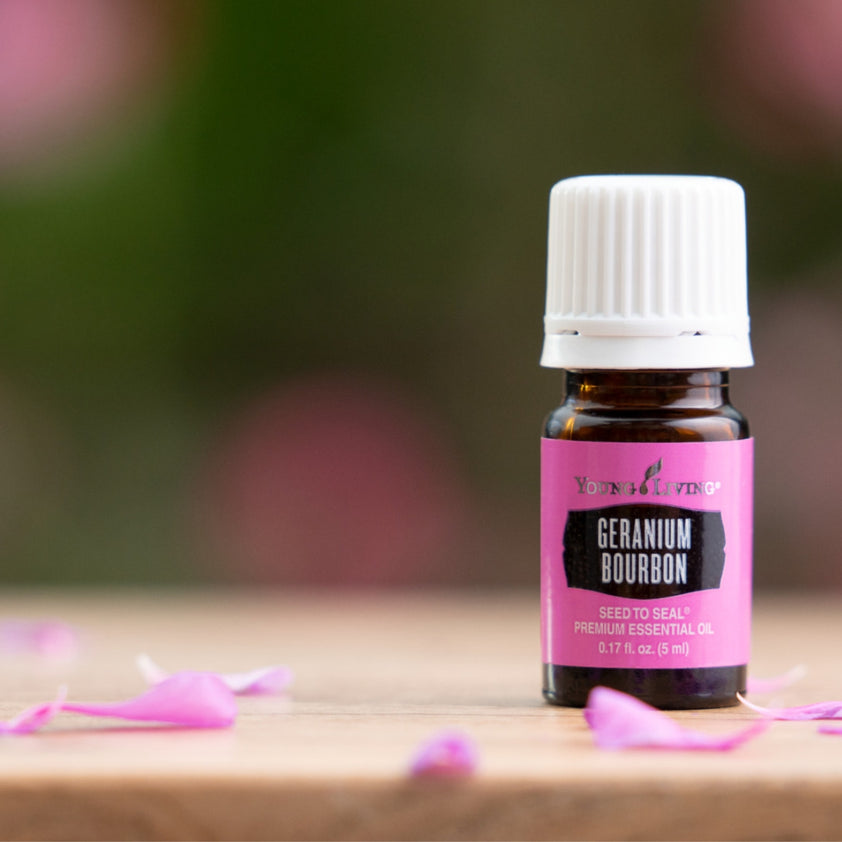 Young Living Geranium Bourbon Essential Oil - 5ml – Essential Oil Life